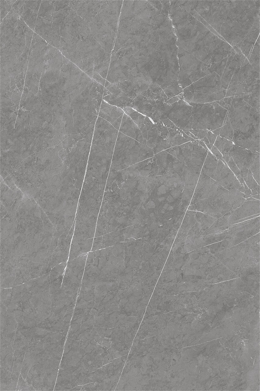 Monte Grey CARV